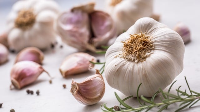 Ail - Nature Sciences Santé